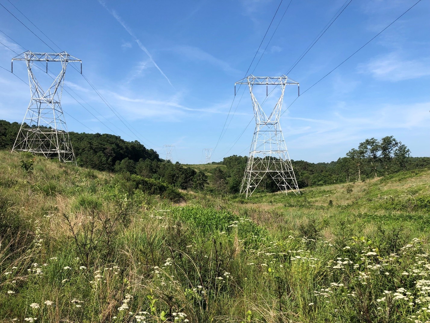 PECO looks to "CREATE" a Resilient, Equitable, and Accessible ...