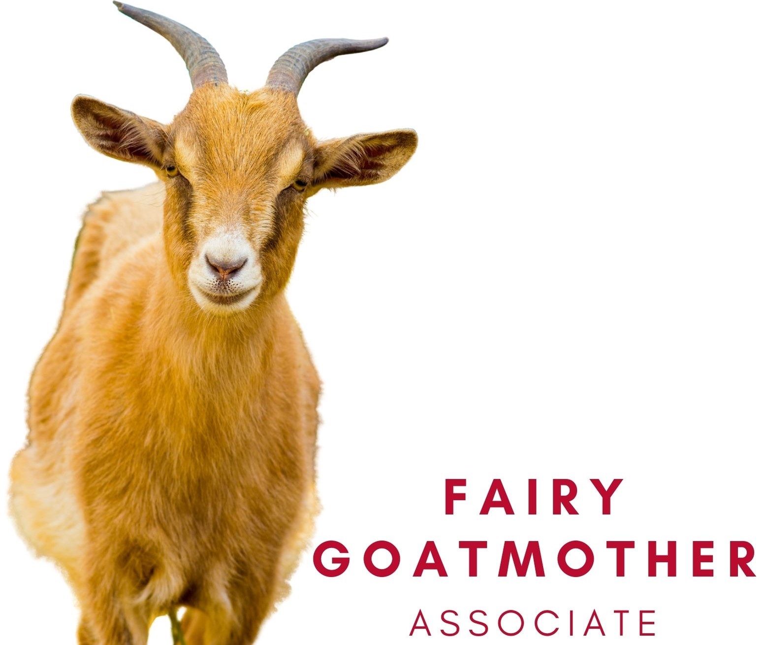 Ya herd? The goats are back in town : Powering Lives Network