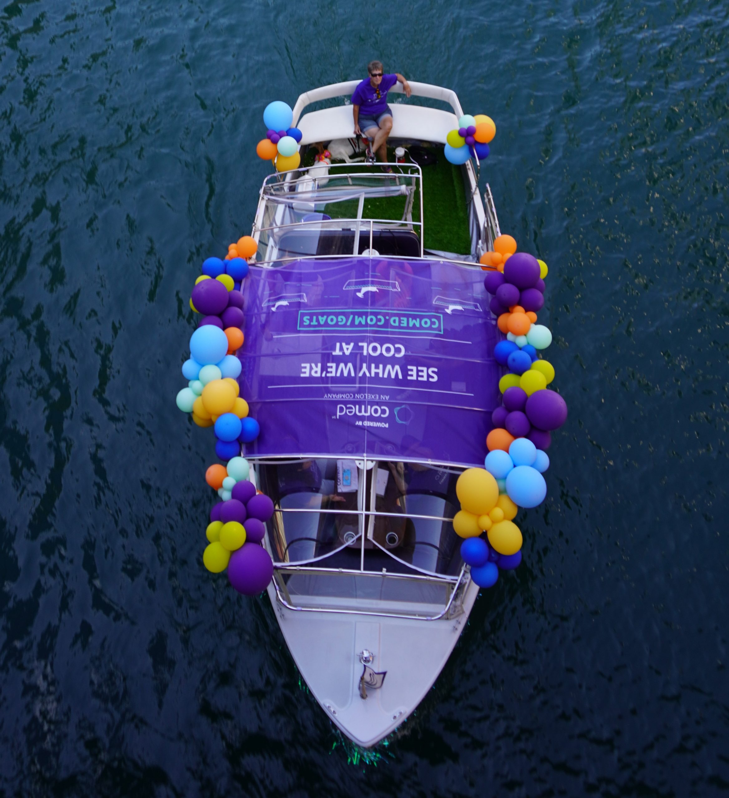 Goats Just Want to Have Fun! : Powering Lives Network