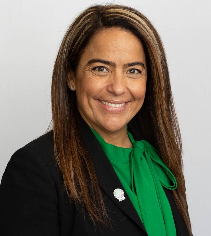 From classmates to teammates at ComEd : Powering Lives Network