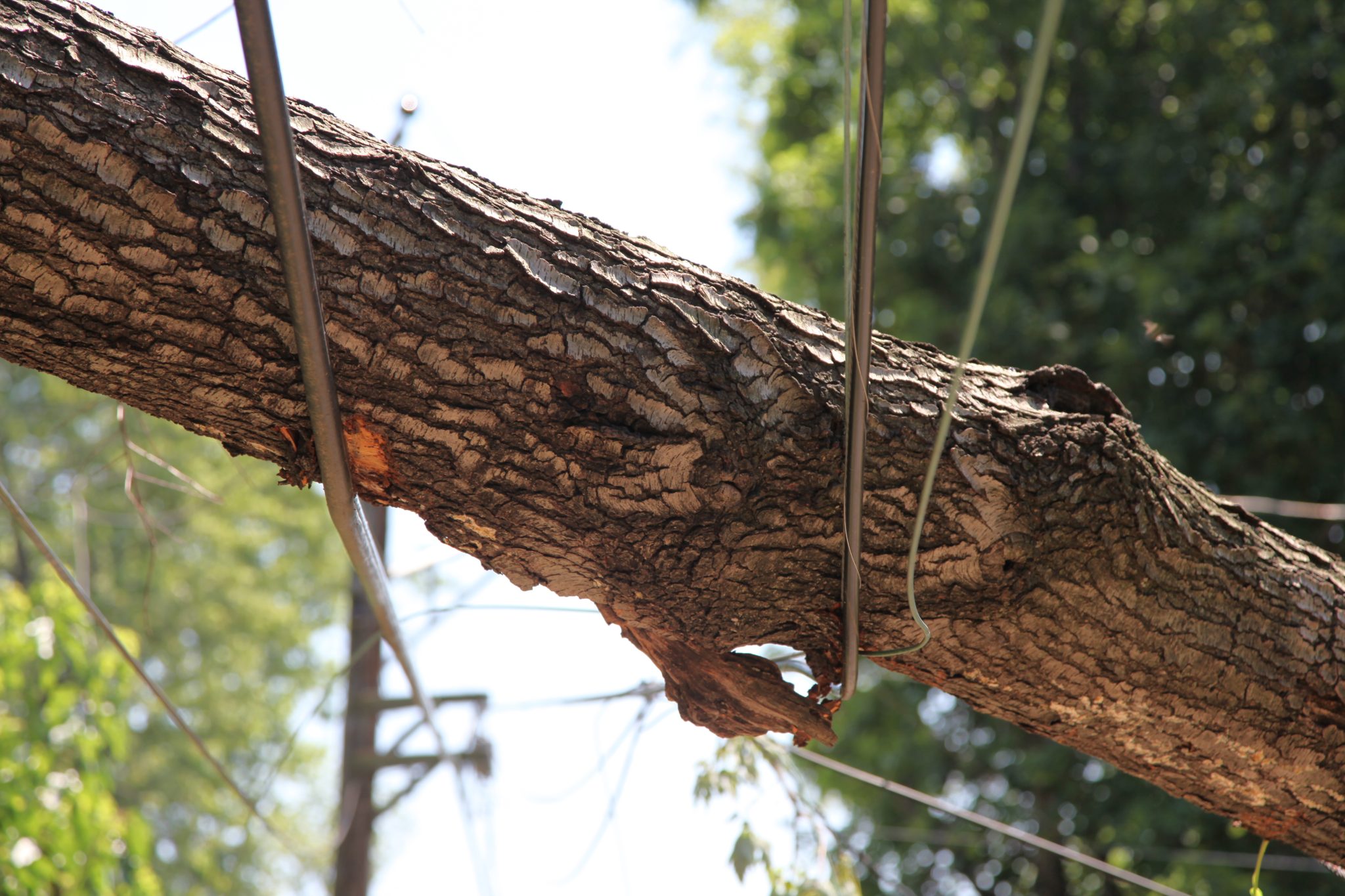 Power Up Your Safety in Outdoor Summer Projects Near Power Lines ...