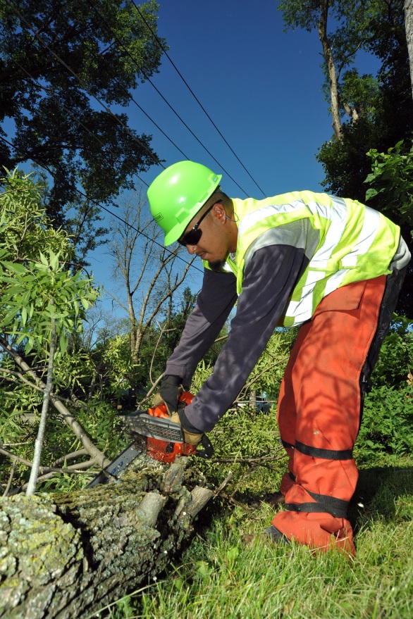 With Summer Bringing the Heat, ComEd's Grid is Ready : Powering Lives ...