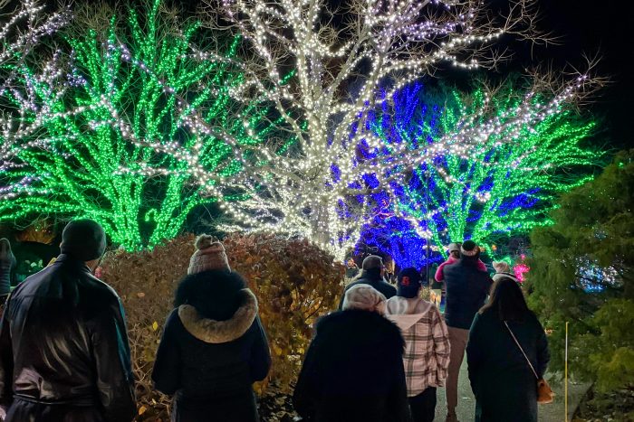 Holiday Light Events Coming to Your Community, Powered by ComEd ...