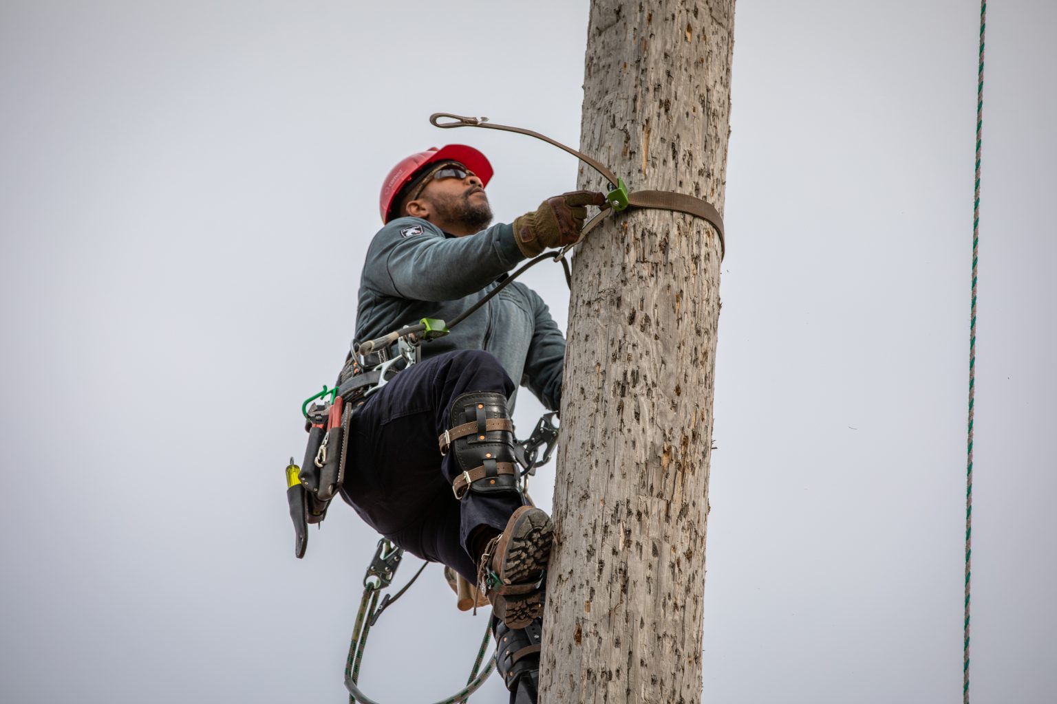 Looking for a Fresh Start? Check Out 3 ComEd Job Training Programs Coming to You in 2025 ...