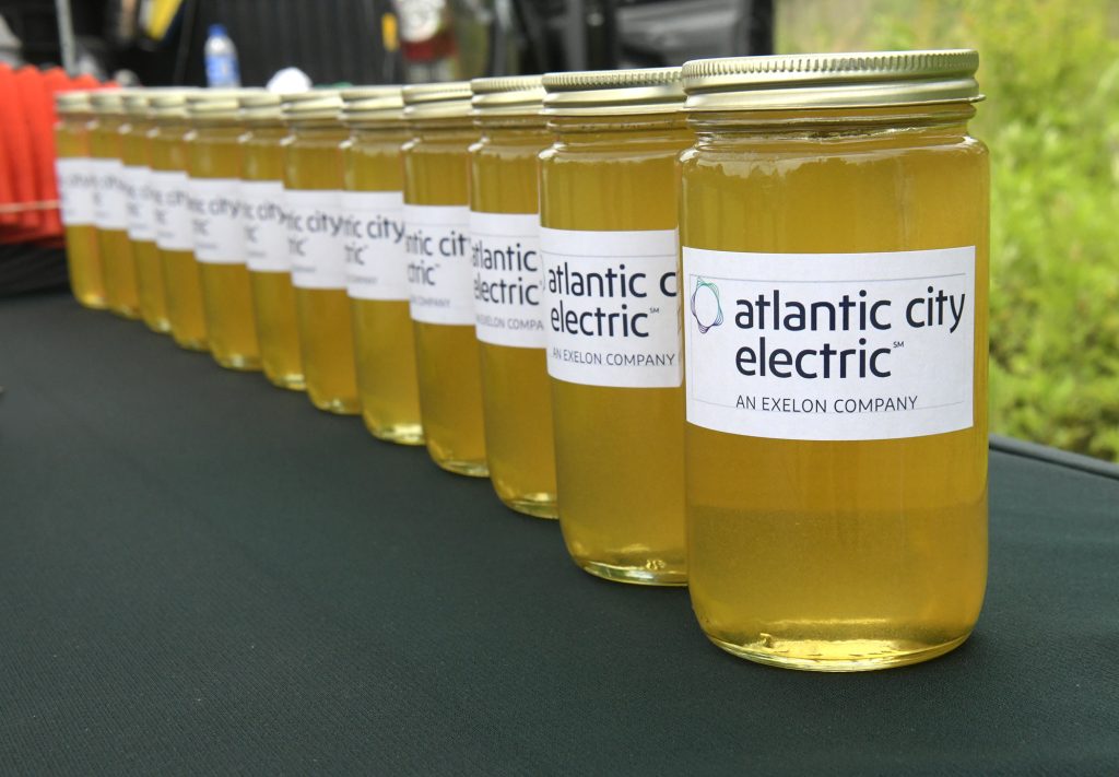 The Buzz Continues: Building a Sustainable Pollinator Future for ...