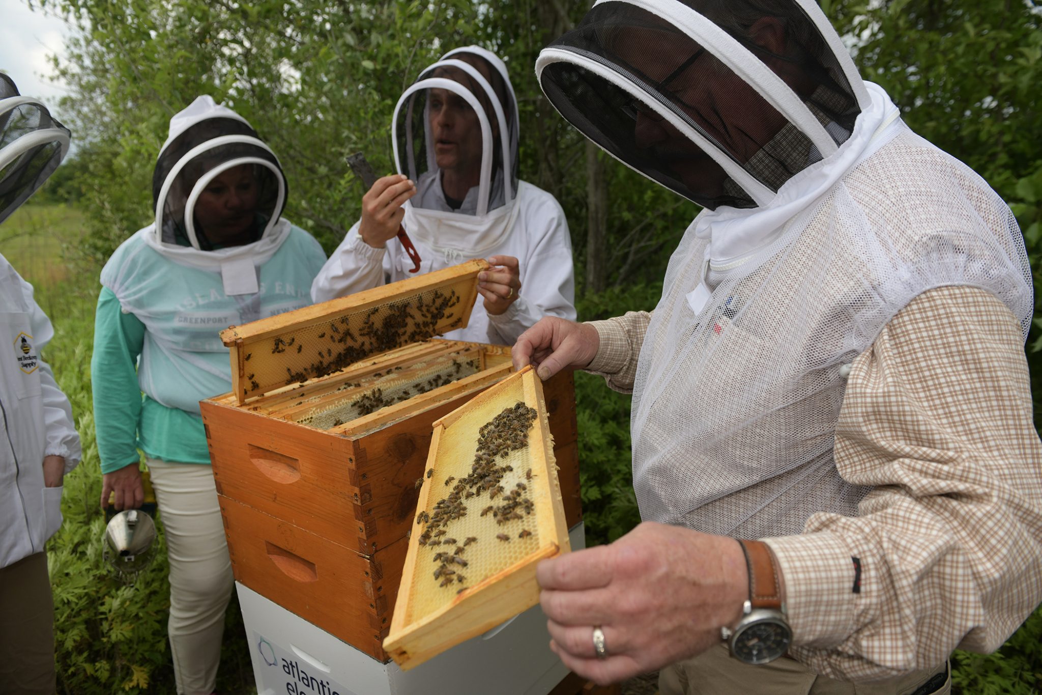 The Buzz Continues: Building a Sustainable Pollinator Future for ...